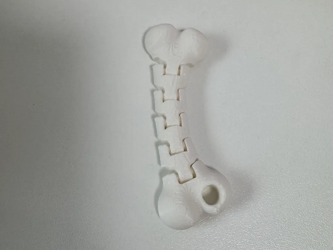 Articulated bone - Articulated toy - Bone pendant - Bone toy - Bone ...