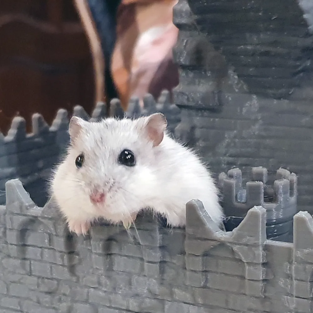 Hamster castle by Vovk MakerWorld: Download Free 3D Models