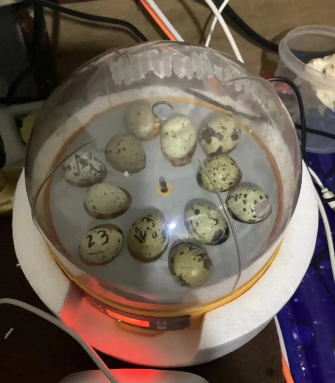 Mini Incubator 12-Hole Turntable by user_863745017 - MakerWorld