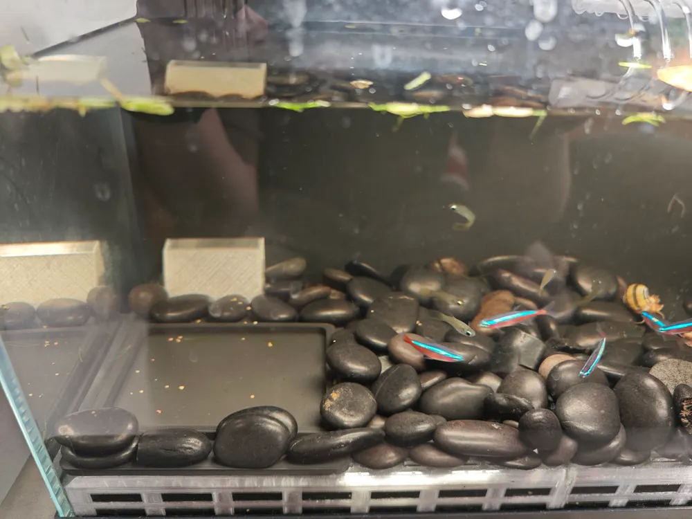 Xiaomi Fish Tank Feeding Zone by cw90 MakerWorld: Download Free 3D Models