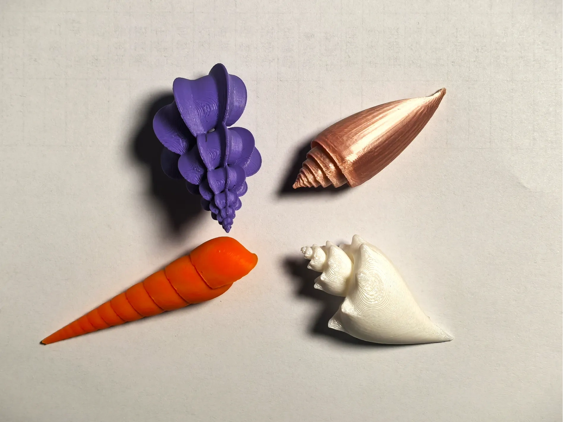 Colorful Seashell Series by 一枣 MakerWorld: Download Free 3D Models