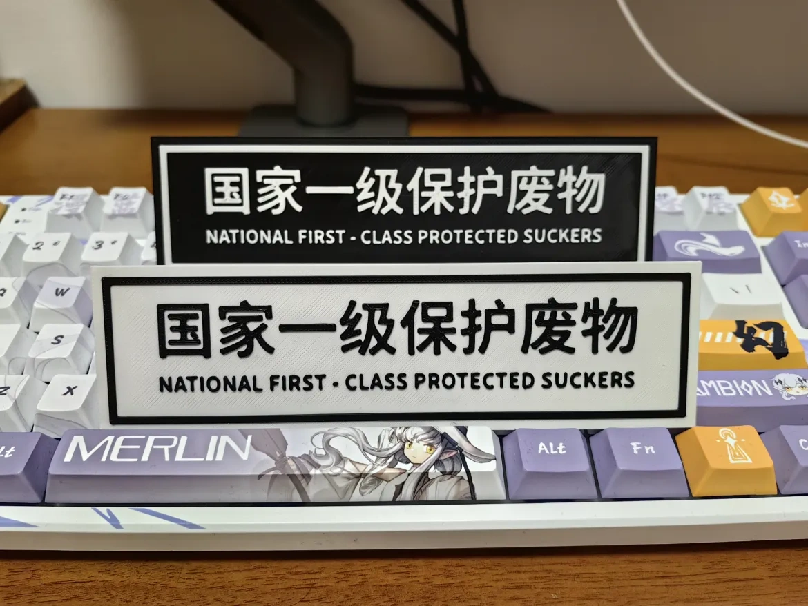 Creative Text National First-Class Protected Waste by 牧岛皞月 - MakerWorld