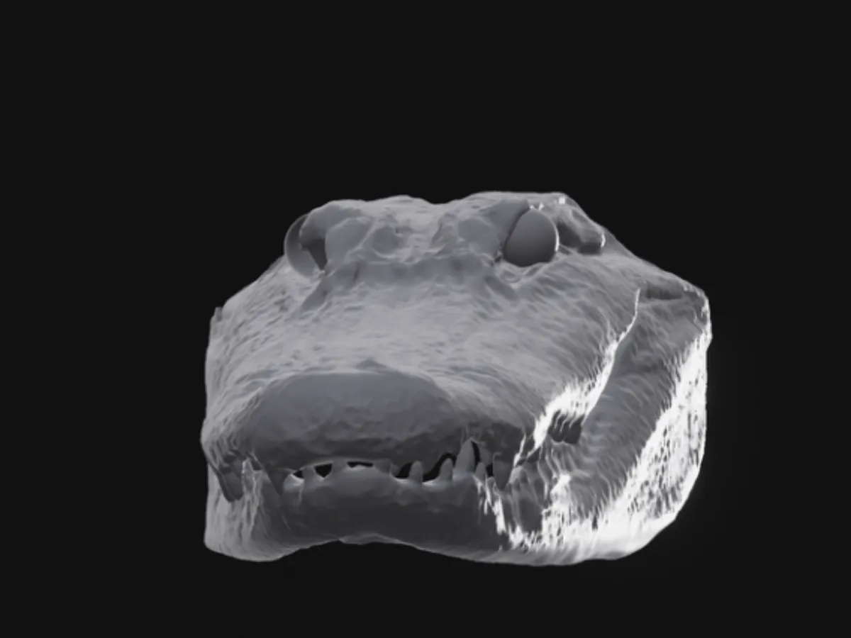 Crocodile Head - Free 3D Print Model - MakerWorld
