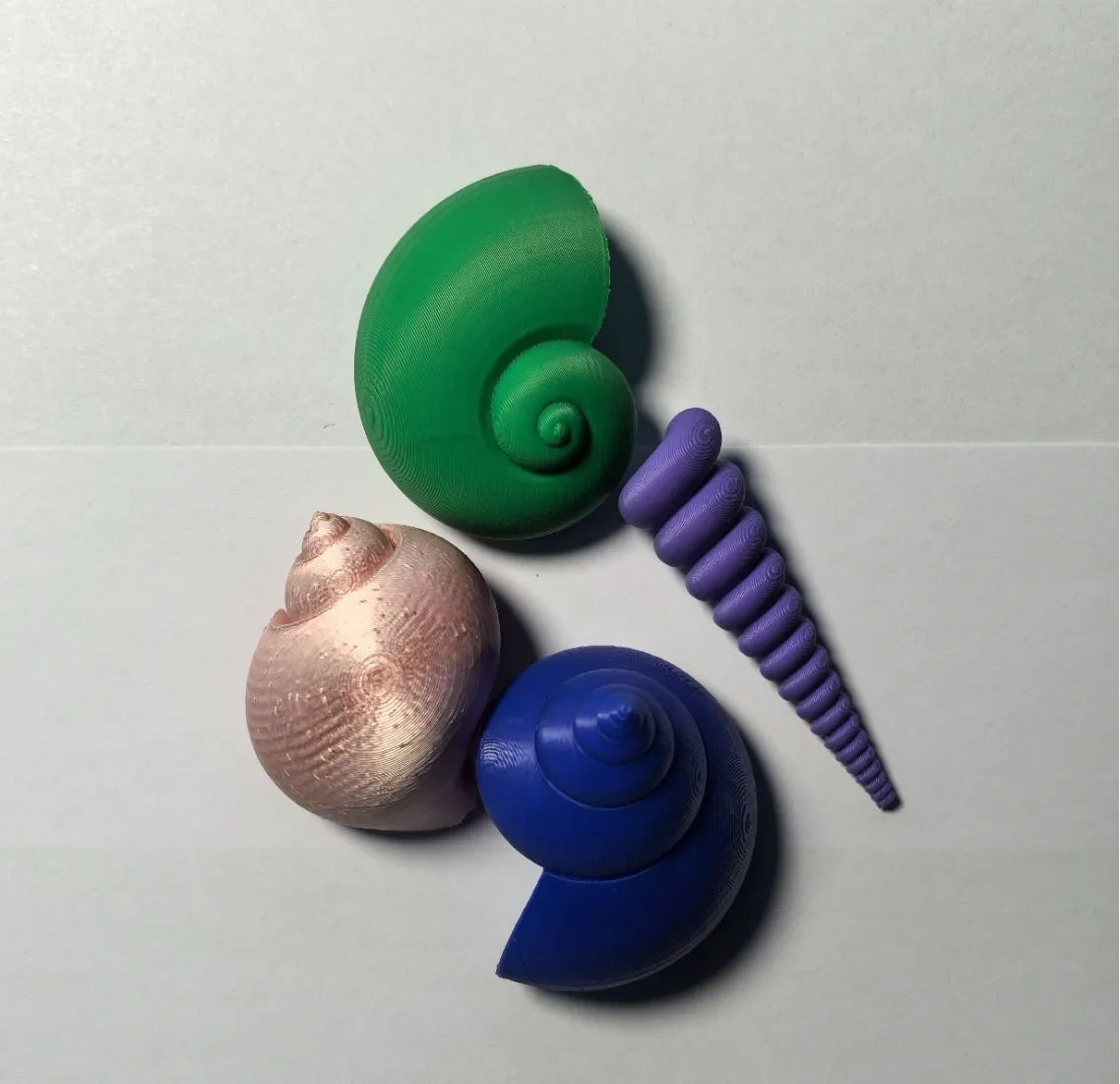 A Colorful Shell Series, Part Two by 一枣 - MakerWorld