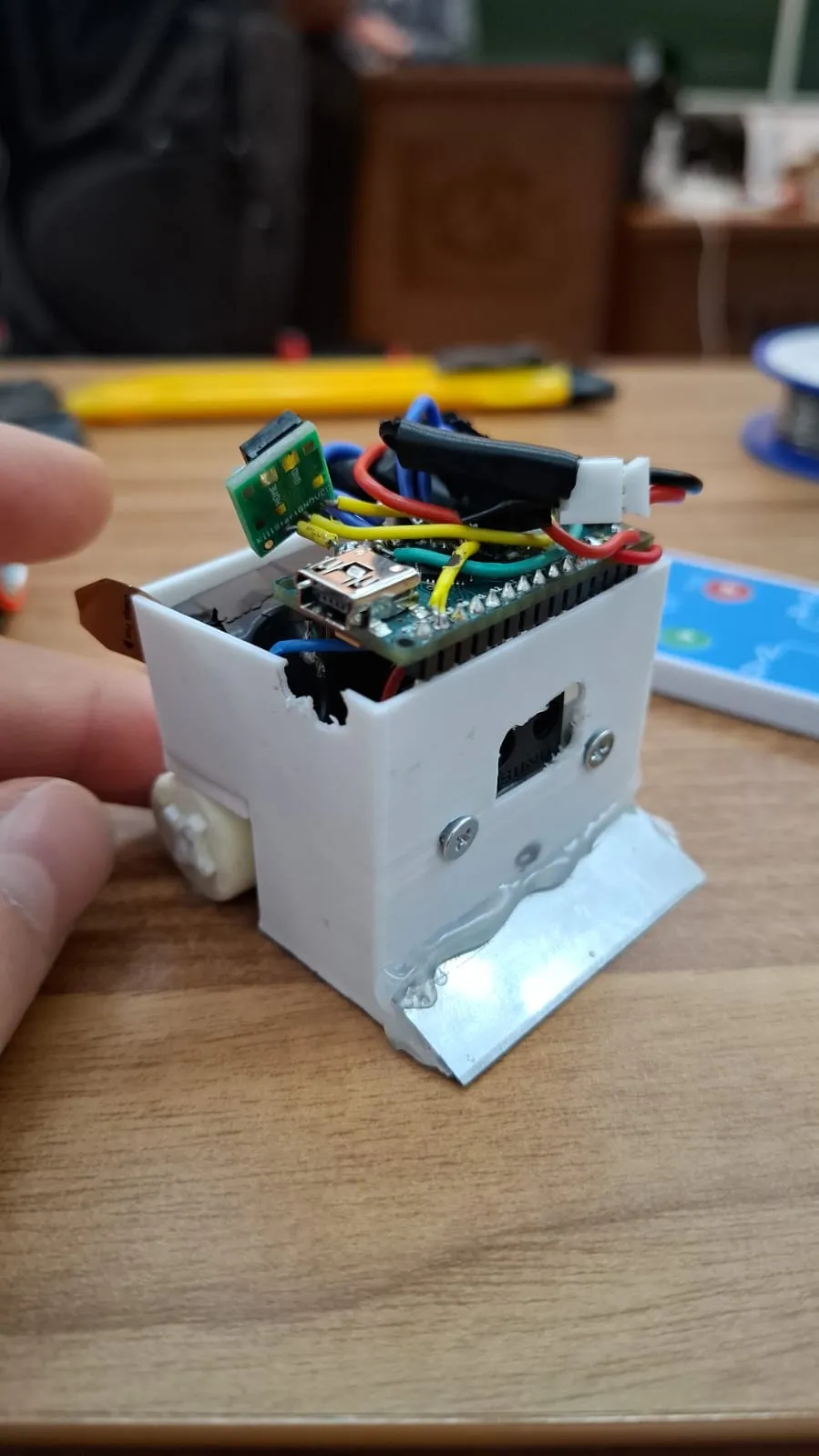 David Popovici Micro Sumo by Iustinian Bogdan - MakerWorld