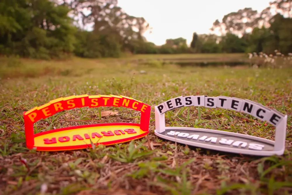 Survivor PERSISTENCE Arch Puzzle by bartojo - MakerWorld