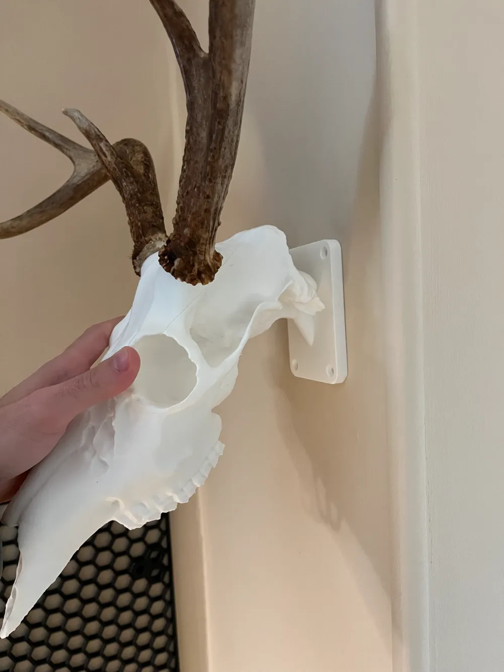 Alternate Hanger for White Tail Skull Mount - Free 3D Print Model ...