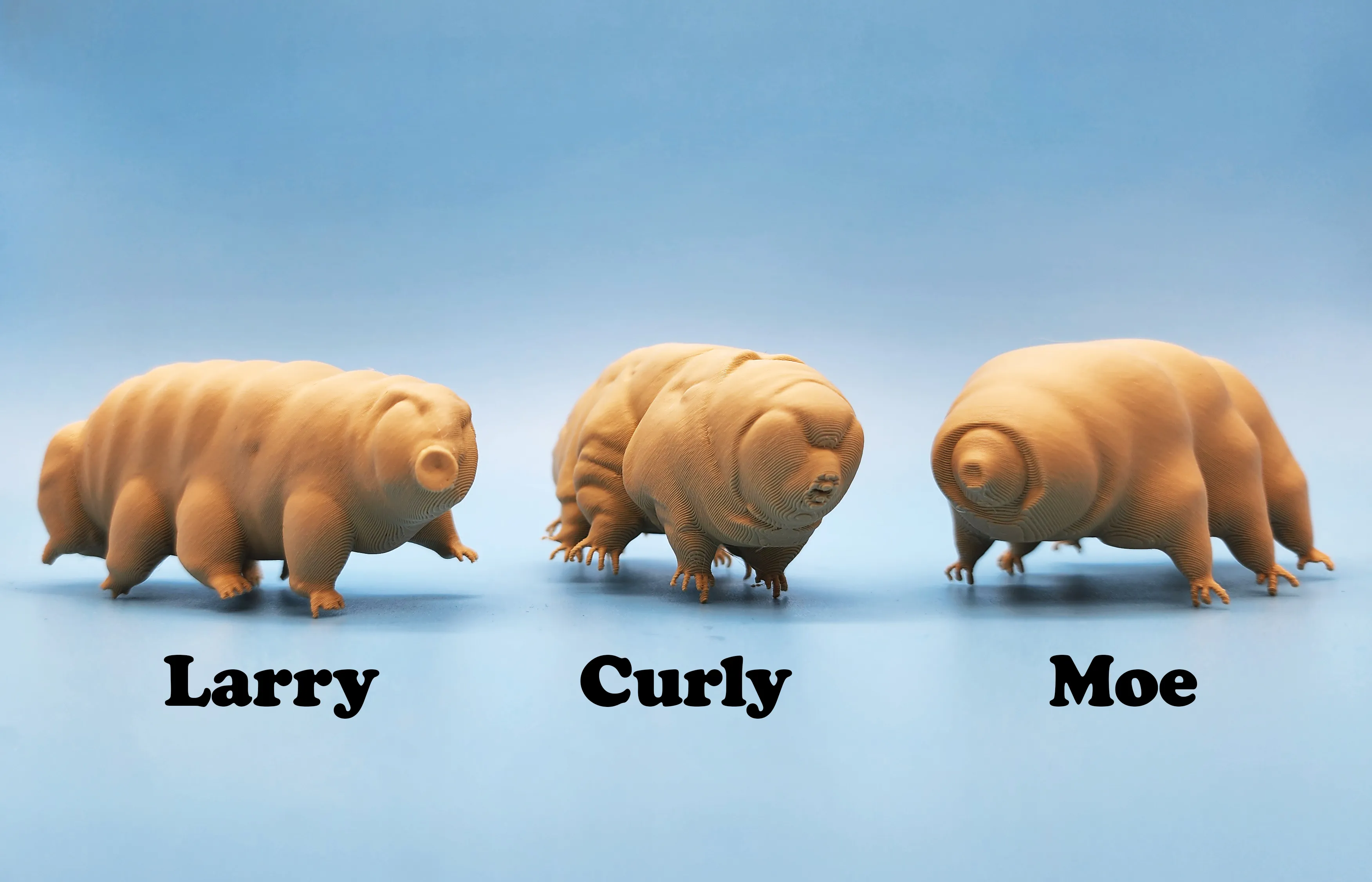 The Tardigrades - 3 Models by Triple G Workshop MakerWorld: Download ...