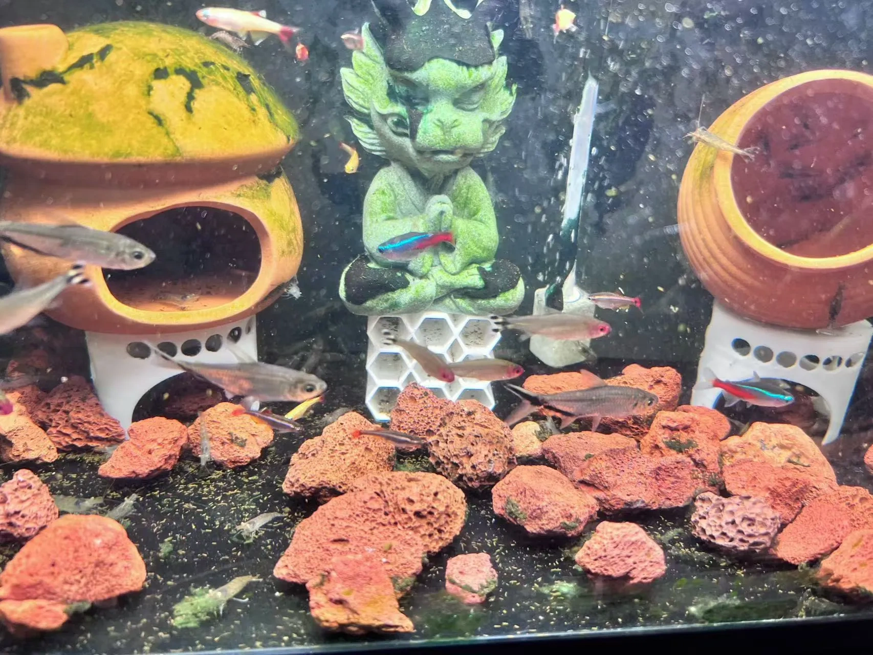 Fish and Shrimp Shelter by 九五 MakerWorld: Download Free 3D Models