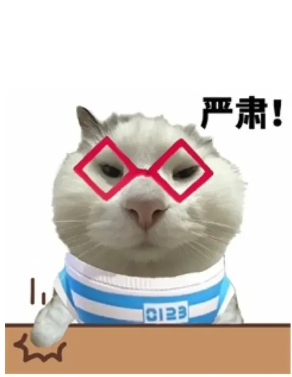 Stern cat meme pack by 黑肤肤 - MakerWorld