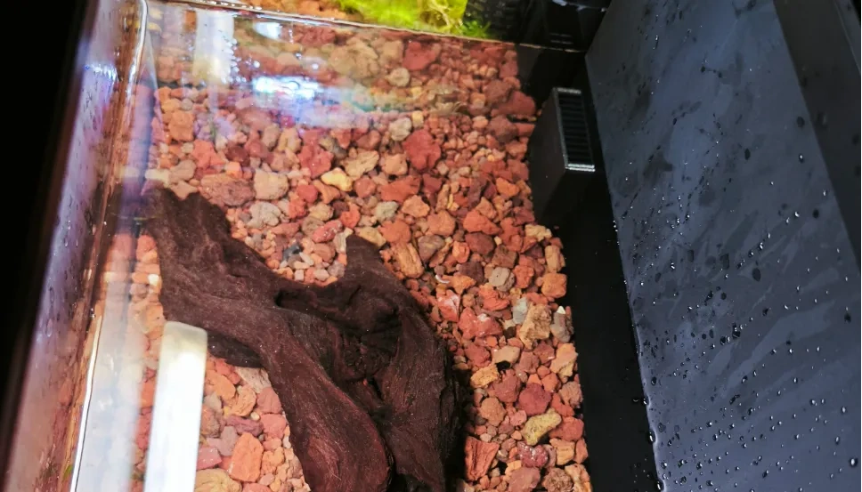 Dangbei Aquarium Sand Guard by Old·man - MakerWorld