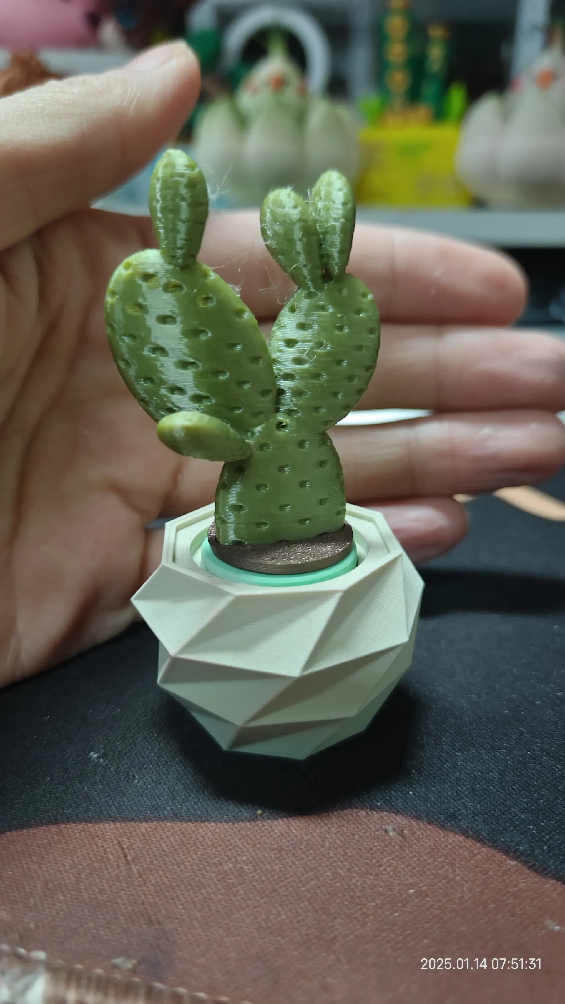 [Lucas Creations] Everlasting Bonsai Series 1 - Succulent Bonsai by ...
