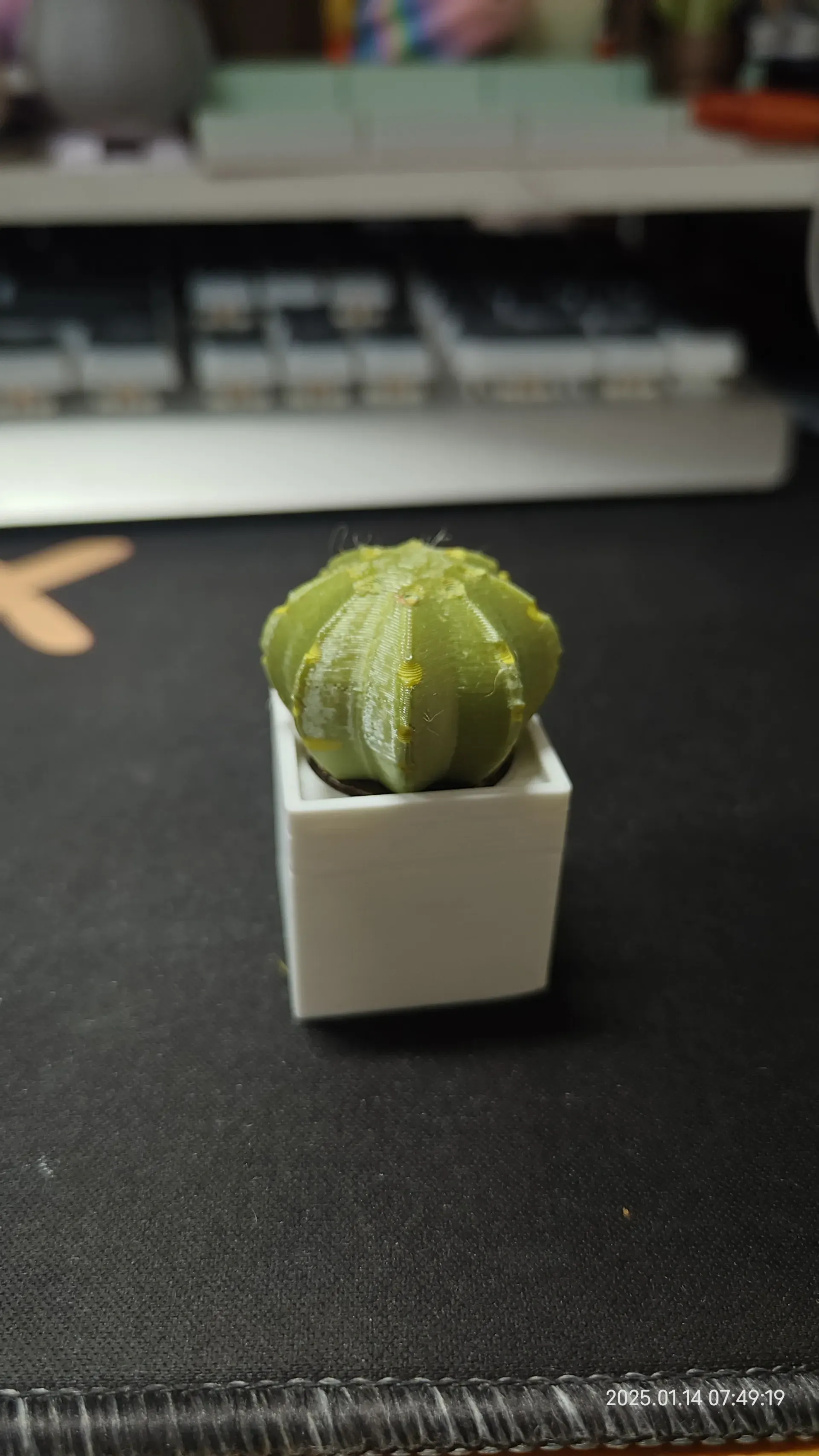 [Lucas Creations] Everlasting Bonsai Series 1 - Succulent Bonsai by ...