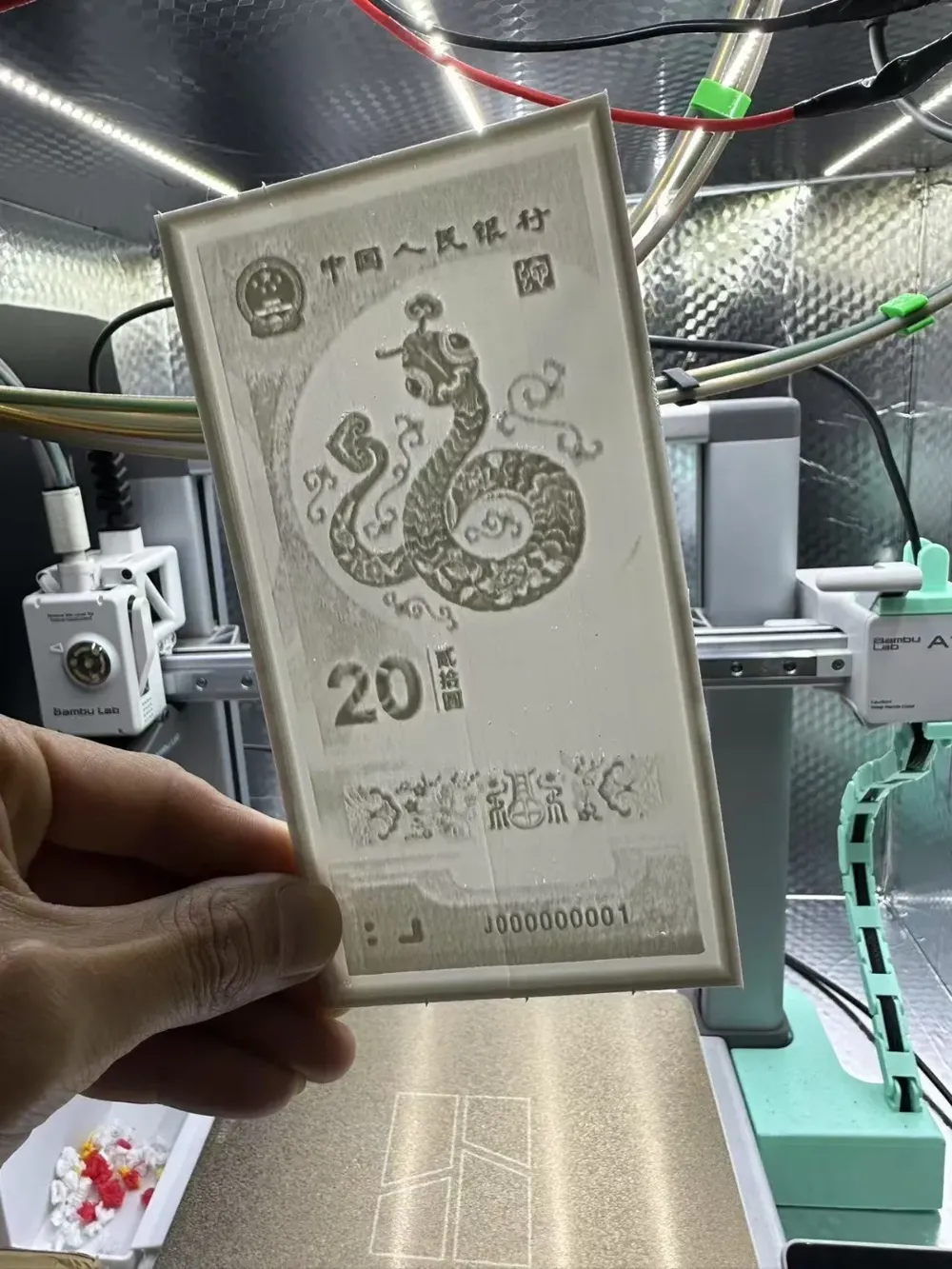 Embossed 3D printed 20th Snake Year commemorative, can be made into an ...