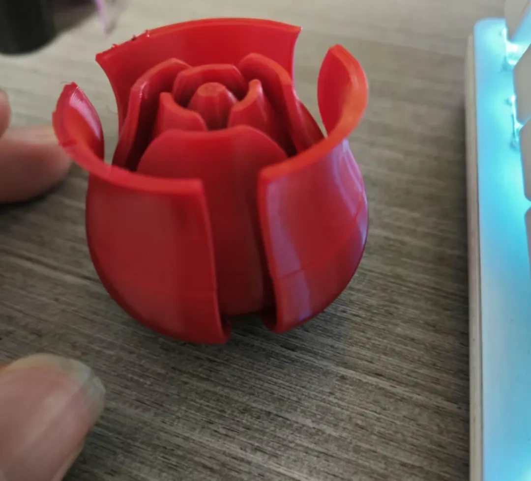 Red rose by user_348556440 - MakerWorld