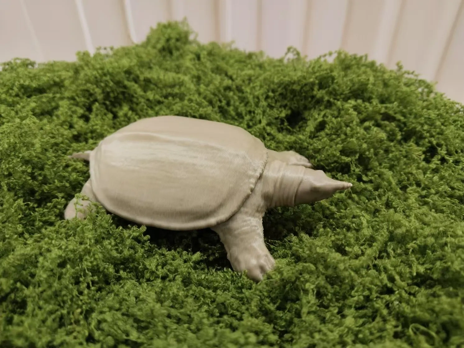 Soft-shelled Turtle by 玛卡巴卡 - MakerWorld