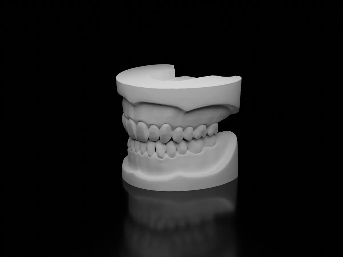 Human teeth model - Free 3D Print Model - MakerWorld