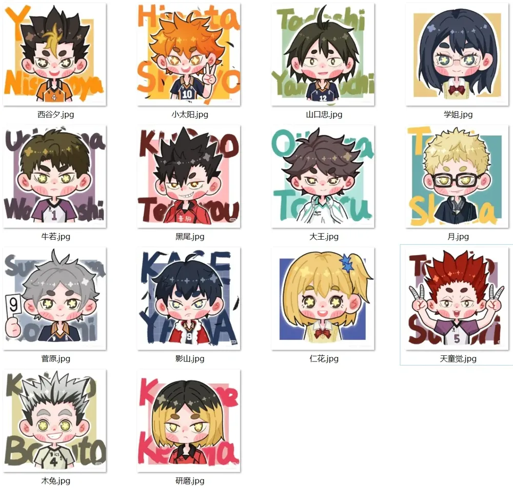 [Haikyuu!!] 14-Piece Collection: Hinata Shoyo and Kageyama Tobio Fan ...