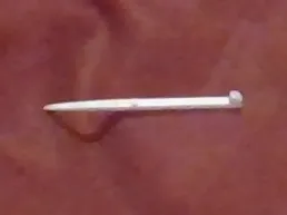 tooth pick by Robbiehood by Robbiehood - MakerWorld