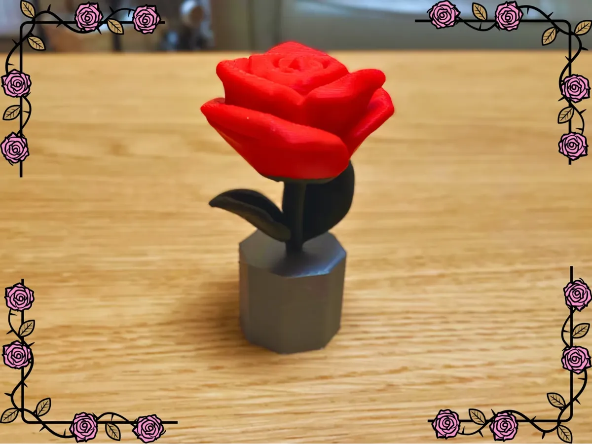 Cadeau incontournable pour la Saint-Valentin : une élégante rose ...