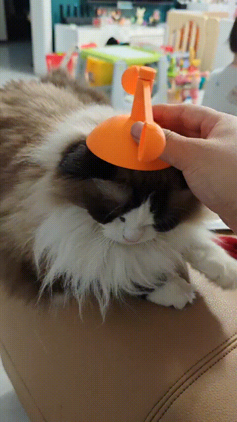 Rotating Cat Hat by Zardozlv.w - MakerWorld