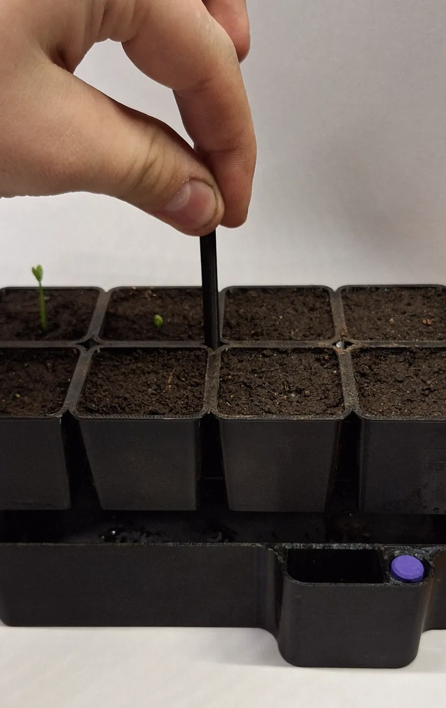 Mini Greenhouse (seed starter) for 8 plants Remixed by Usak_1 ...
