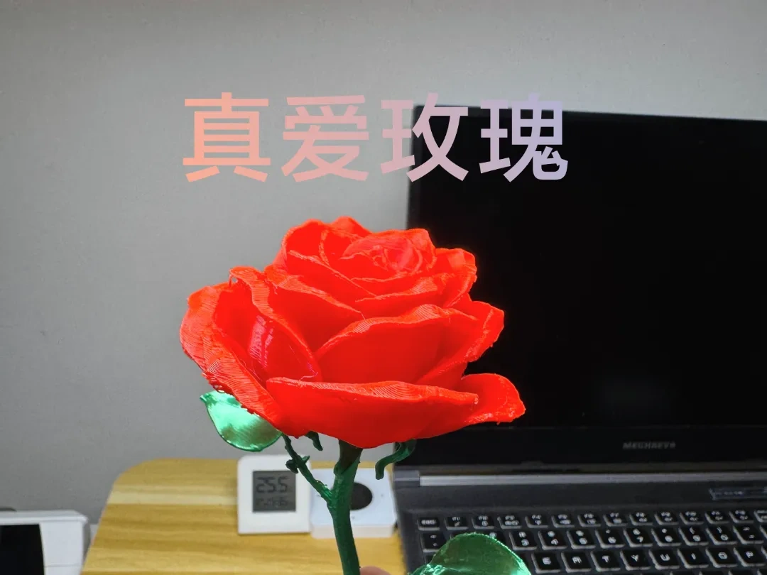 True Love Rose A rose that never withers! by AOCAI - MakerWorld