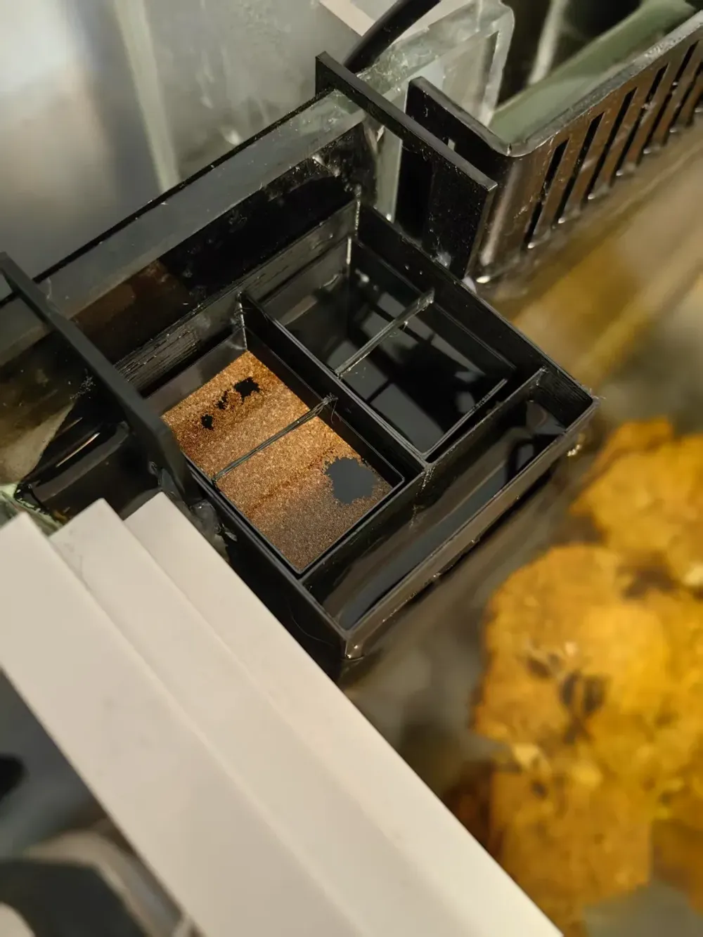 Brine Shrimp Hatcher (Replaceable, 24-Hour Continuous Hatching ...