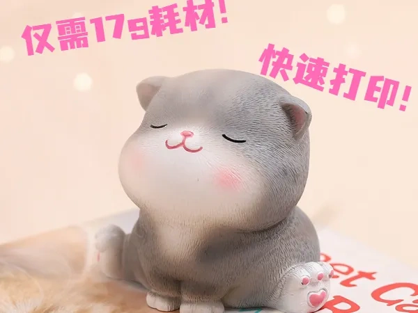 Super cute chubby cat, Zhumi. Quick print, only 17g by user_4138028663 ...