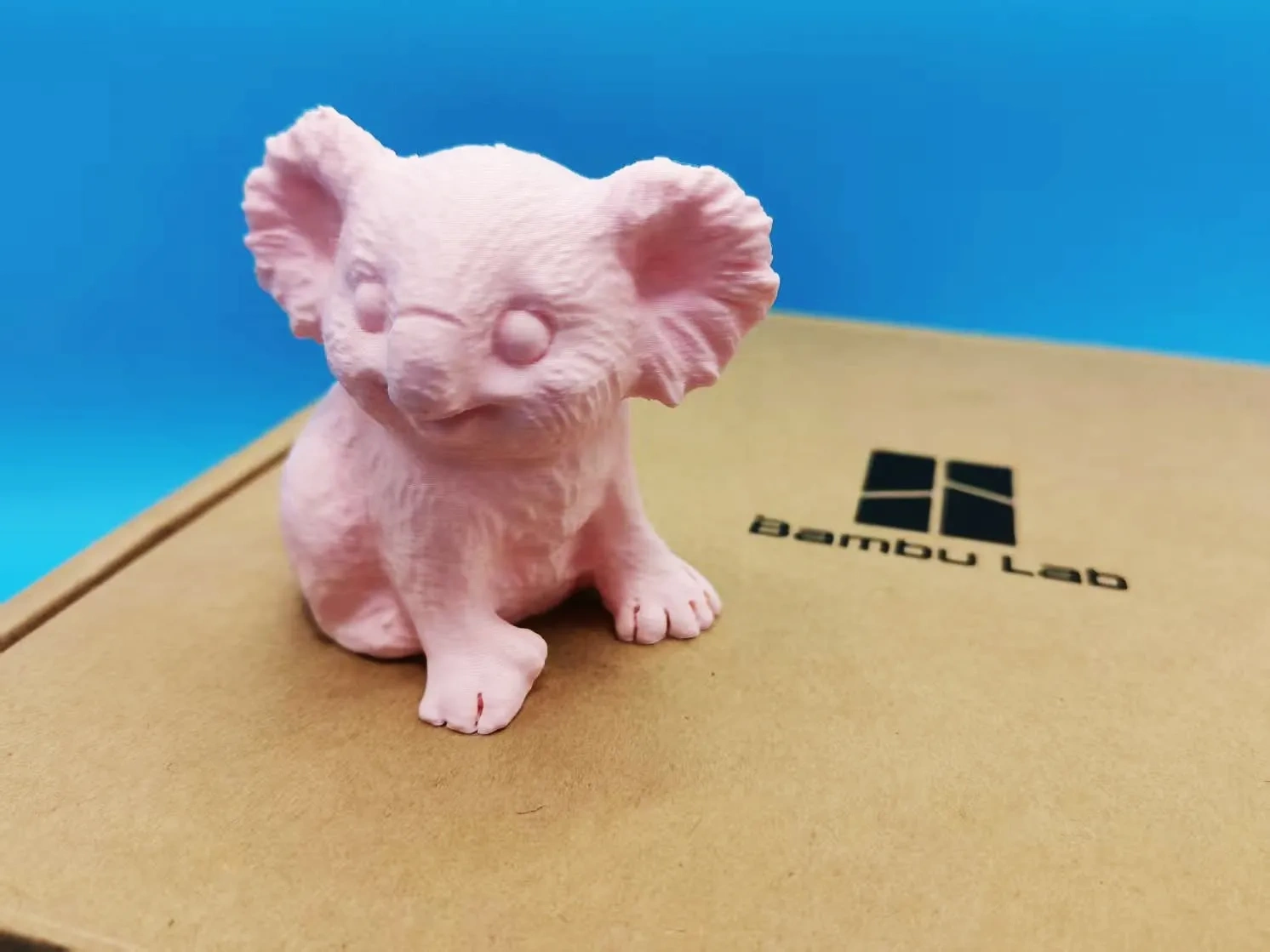 Adorable Koala by Jennifer MakerWorld: Download Free 3D Models