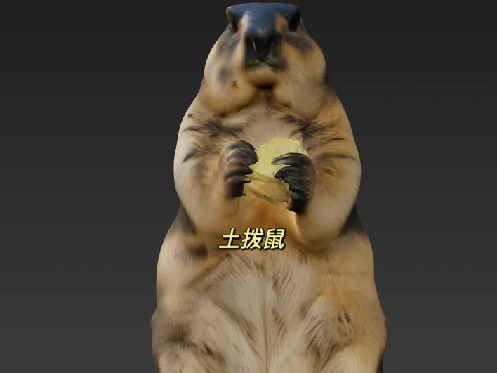 Nezha 2 Marmot, Real-Life Version by huilan - MakerWorld