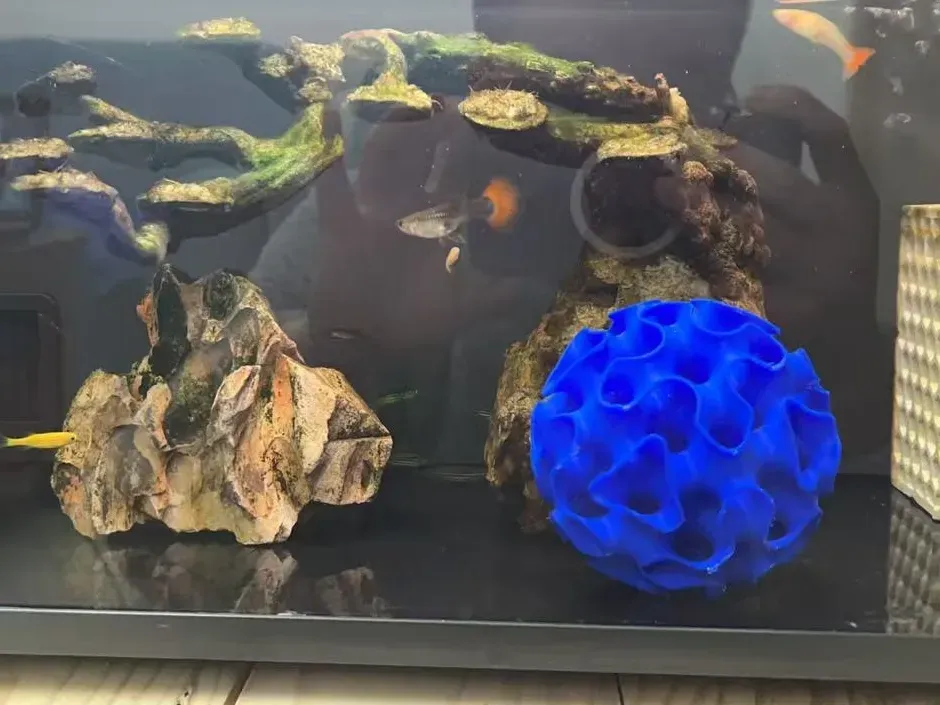 Hollow Sphere Fish Tank Fish and Shrimp Hiding Place by Mr li ...