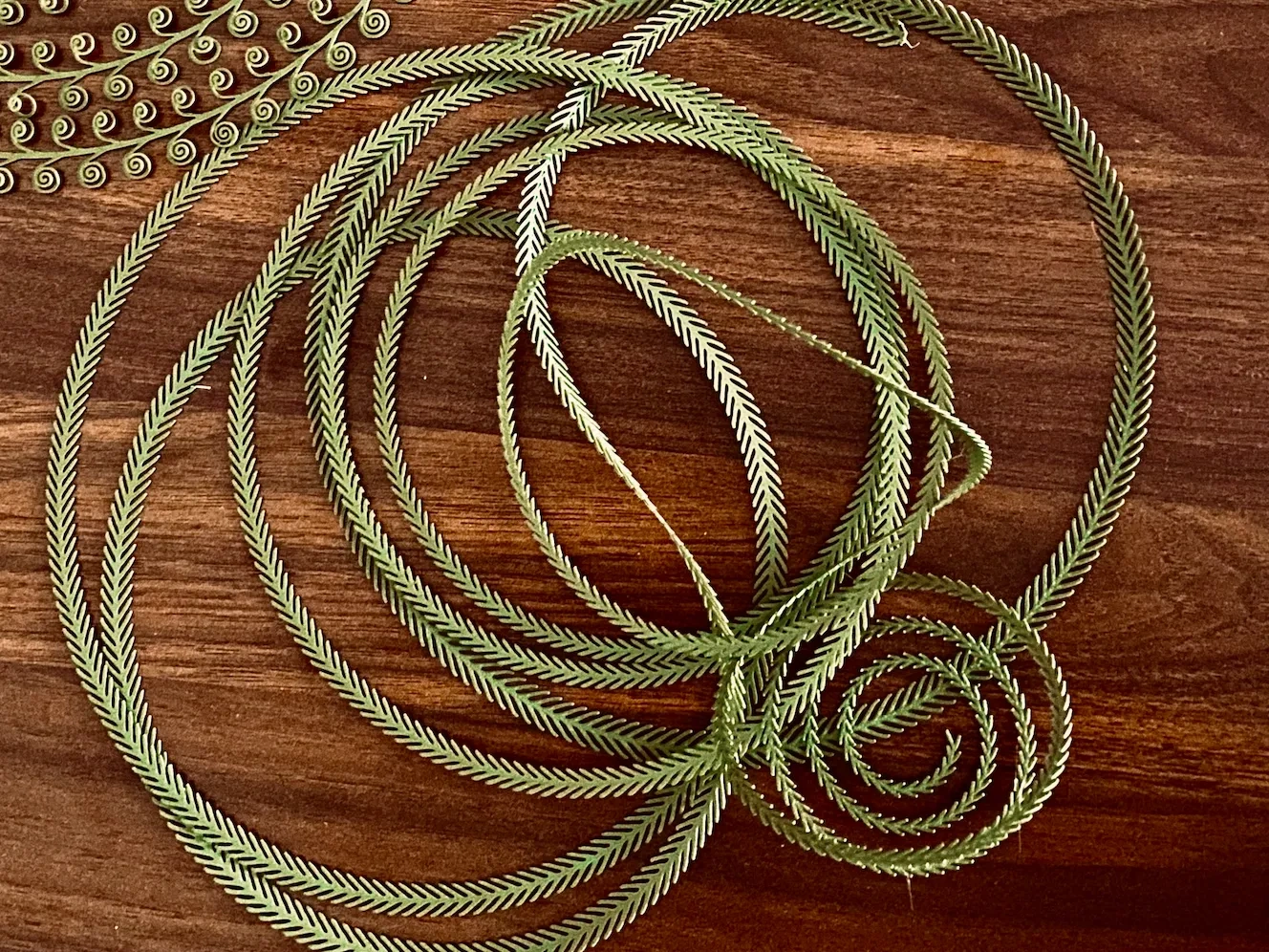 Extra-Long Fern Vine by Anderdragoon - MakerWorld