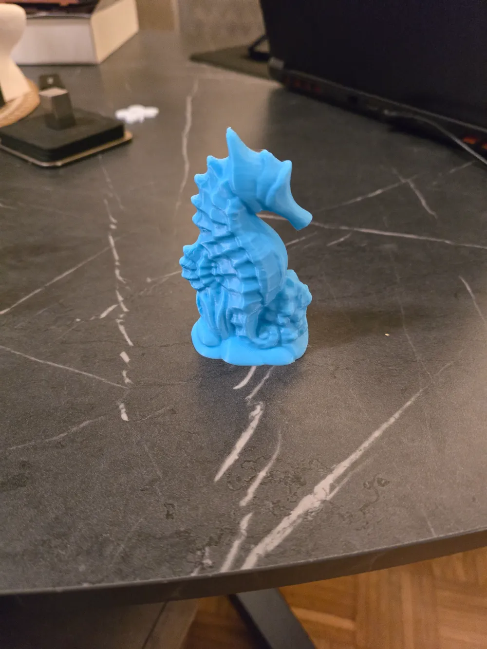 Seahorse Seahorse Decoration 3D Scan by Bounty1337 - MakerWorld Seahorse Seahorse Decoration 3D Scan by Bounty1337 - MakerWorld