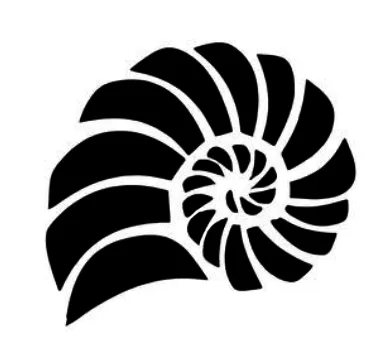 Shell Stencil by Stencil Studio - MakerWorld