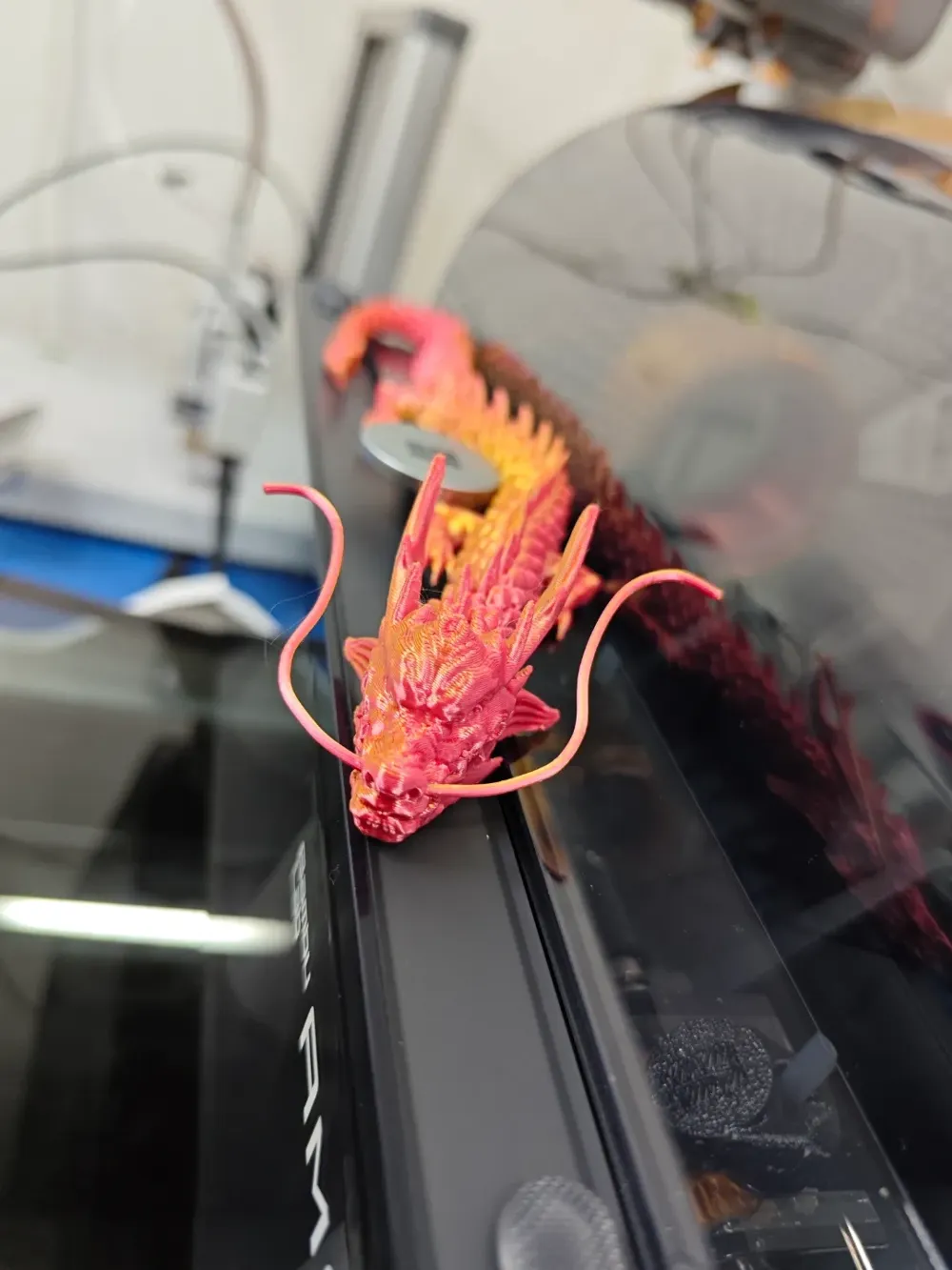 Treasure Hunt: True Dragon (30cm) by user_2178496809 MakerWorld ...