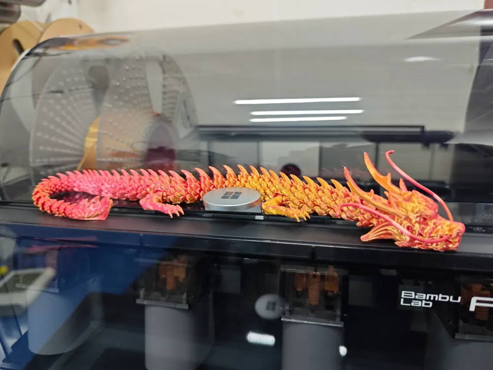 Treasure Hunt: True Dragon (30cm) by user_2178496809 MakerWorld ...