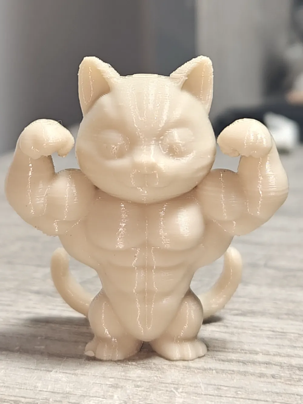 Double-Tailed Bodybuilder Cat by TrackArt3D - MakerWorld