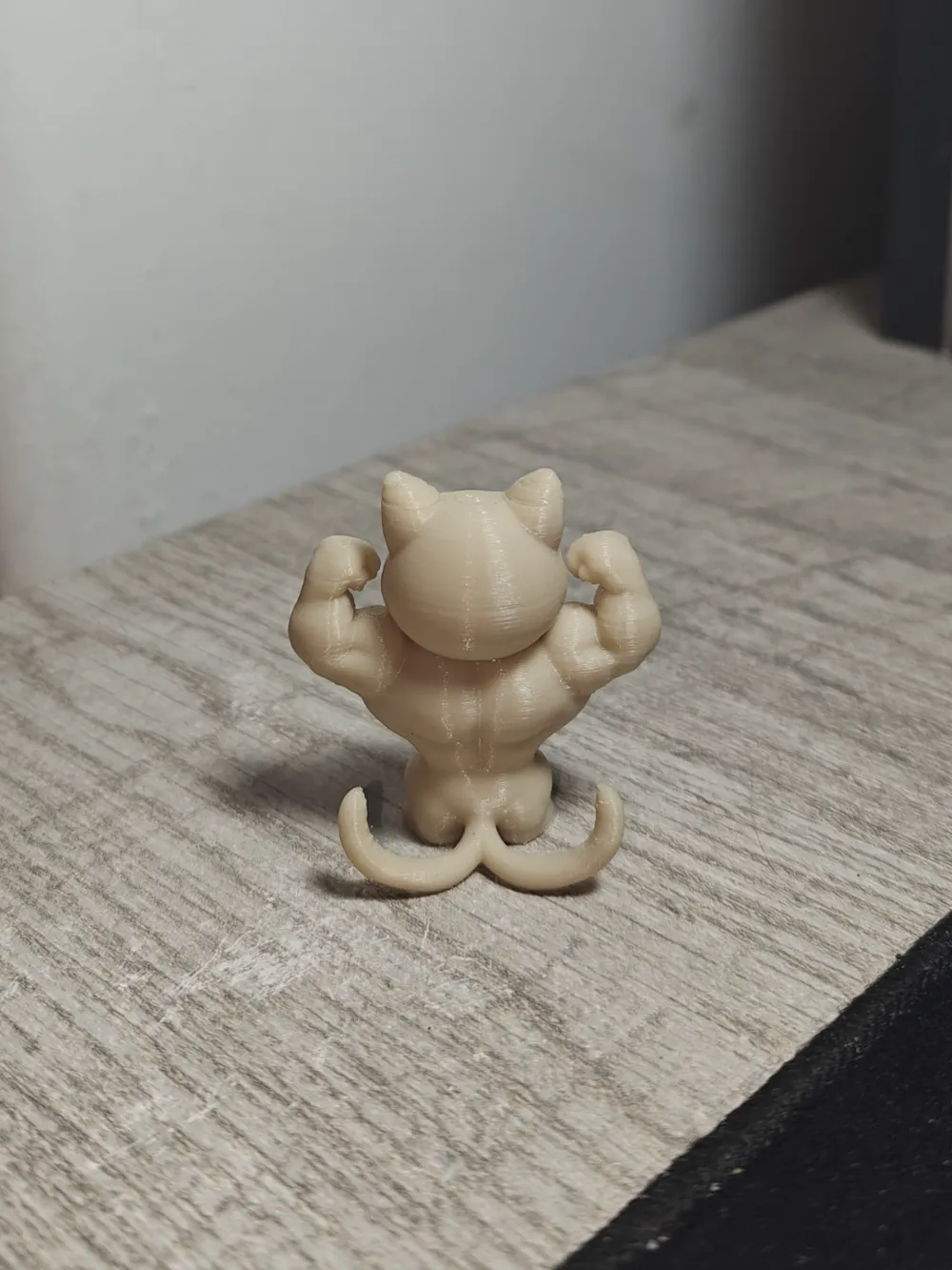 Double-Tailed Bodybuilder Cat by TrackArt3D - MakerWorld