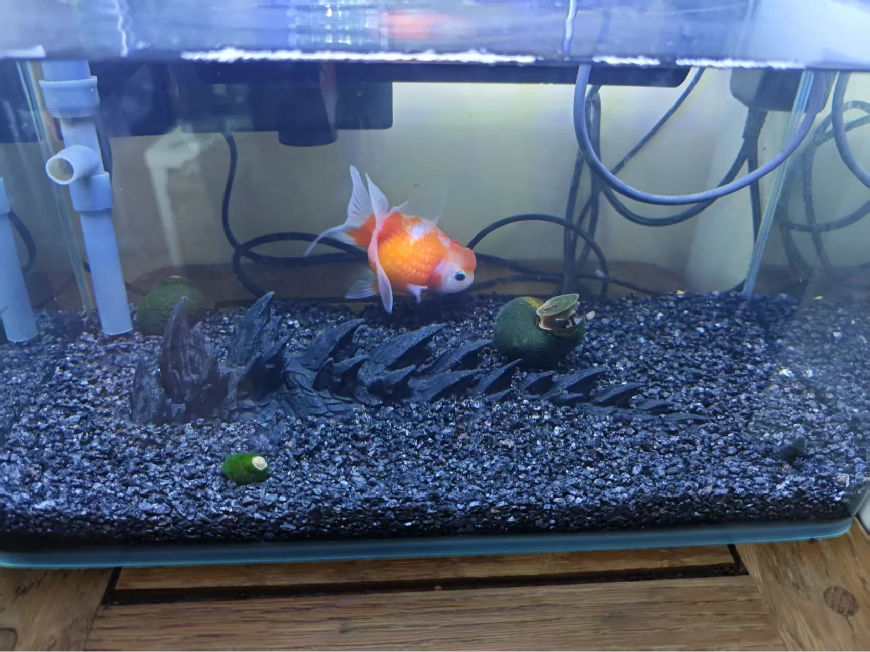 Godzilla dorsal fin aquarium landscape Remixed by 天生玩家国际服 MakerWorld ...