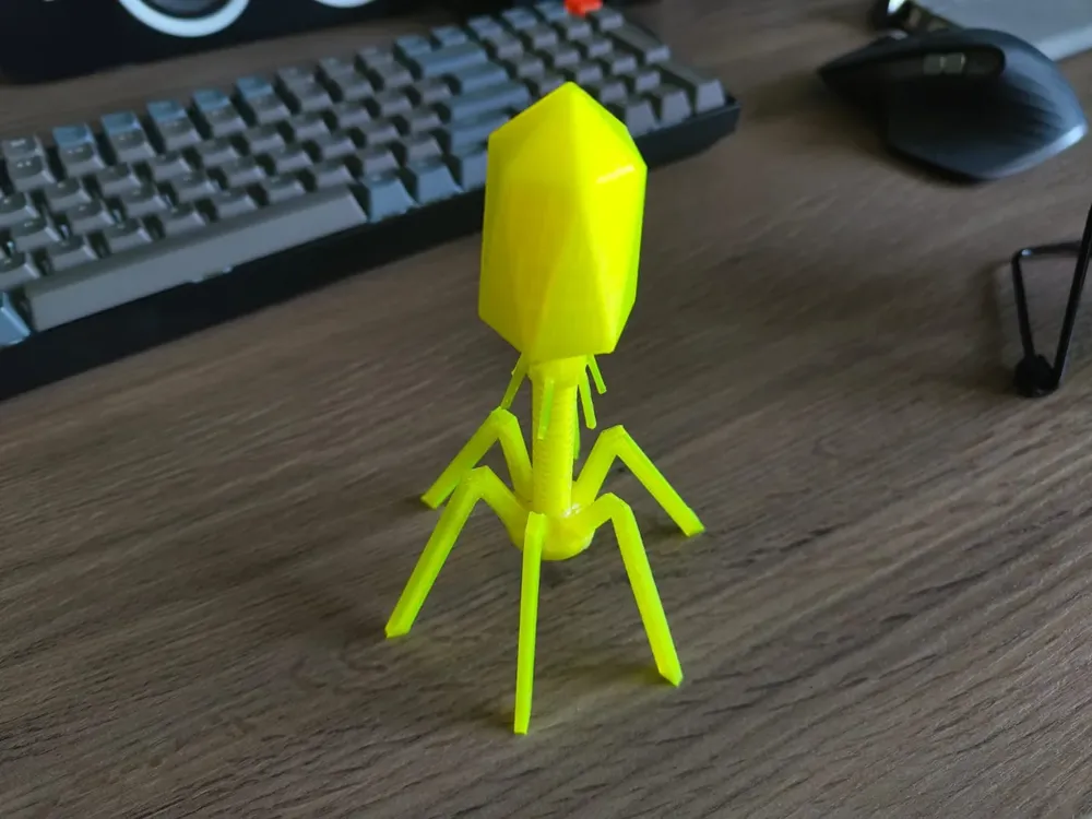 Bacteriophage model by Reewen - MakerWorld