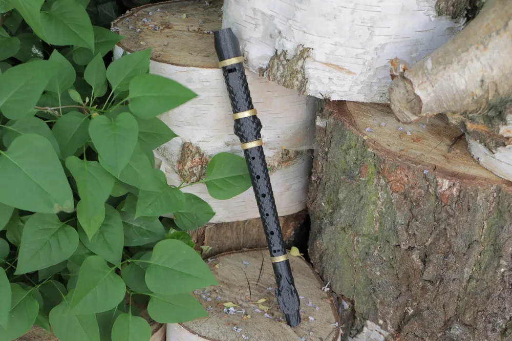 Dragon Recorder by P1lotz MakerWorld: Download Free 3D Models