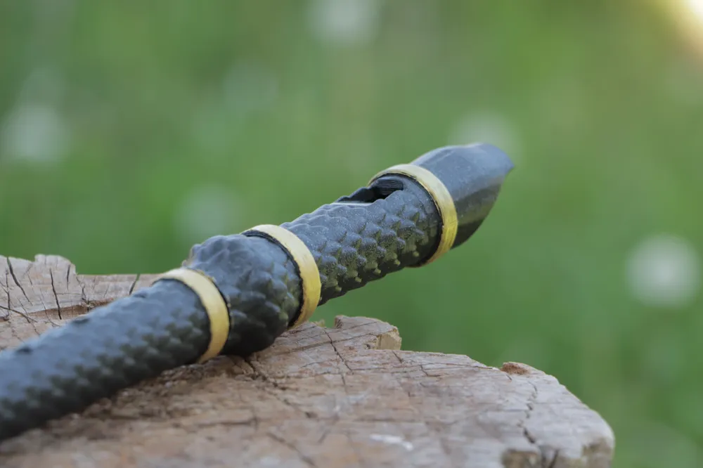 Dragon Recorder by P1lotz MakerWorld: Download Free 3D Models