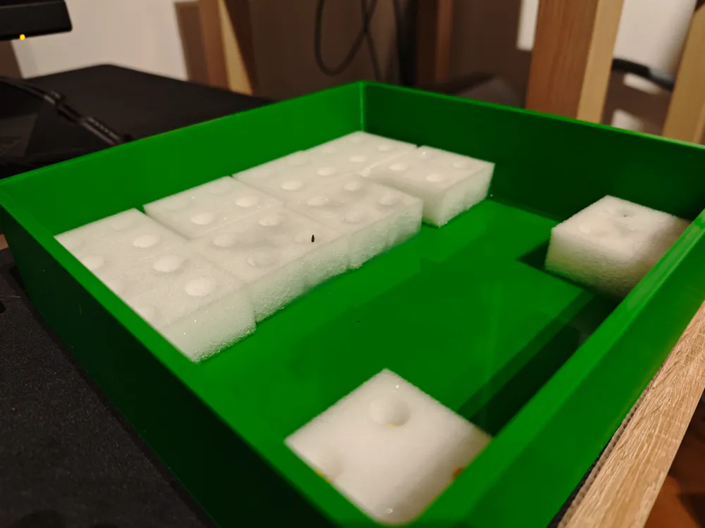 Seedling Tray by WhiteFox_3D_Printing MakerWorld: Download Free 3D Models