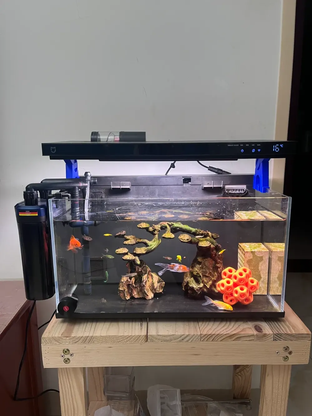 Dodecahedral Hollow Sphere (Fish Tank Fish and Shrimp Hideaway) by user ...