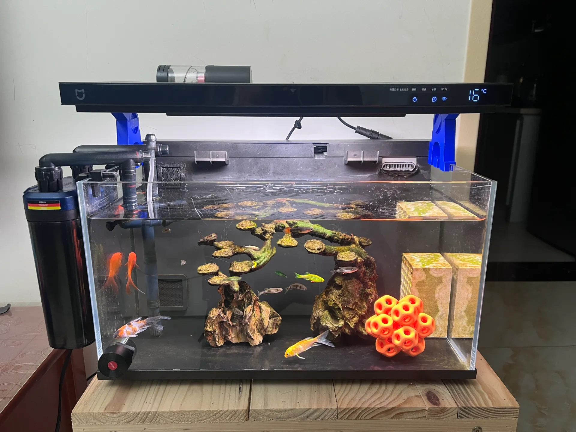 Dodecahedral Hollow Sphere (Fish Tank Fish and Shrimp Hideaway) by user ...