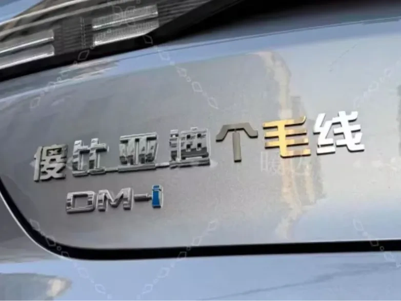 (Funny) Low-quality car rear lettering by Axion-Tetractys - MakerWorld