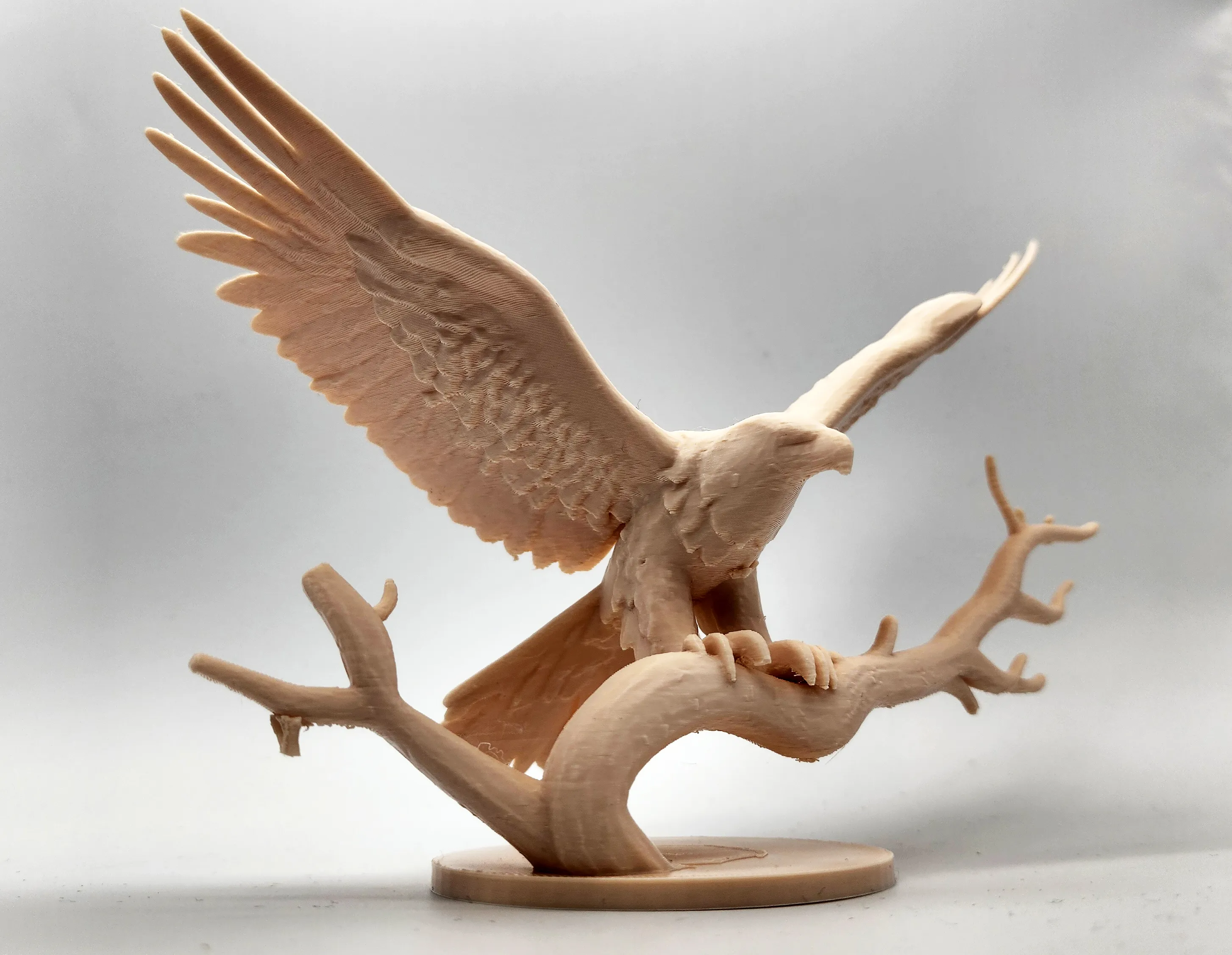 Eagle with Wings Spread - Free 3D Print Model - MakerWorld
