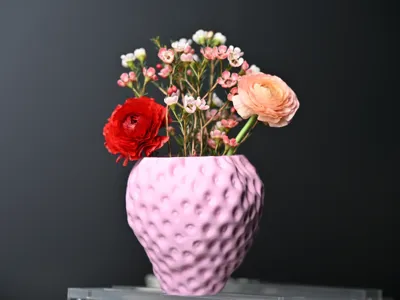 Strawberry Vase vs Strawberry Pen Holder (Pencil Case) by andy ...