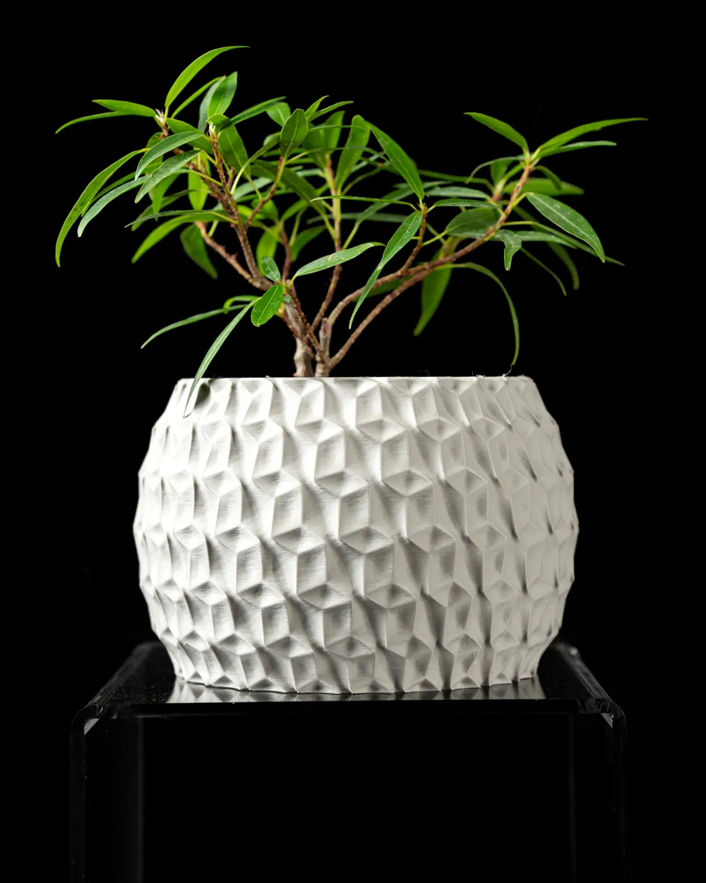 Hexa Planter Pot by MODERN MACHINE - Free 3D Print Model - MakerWorld